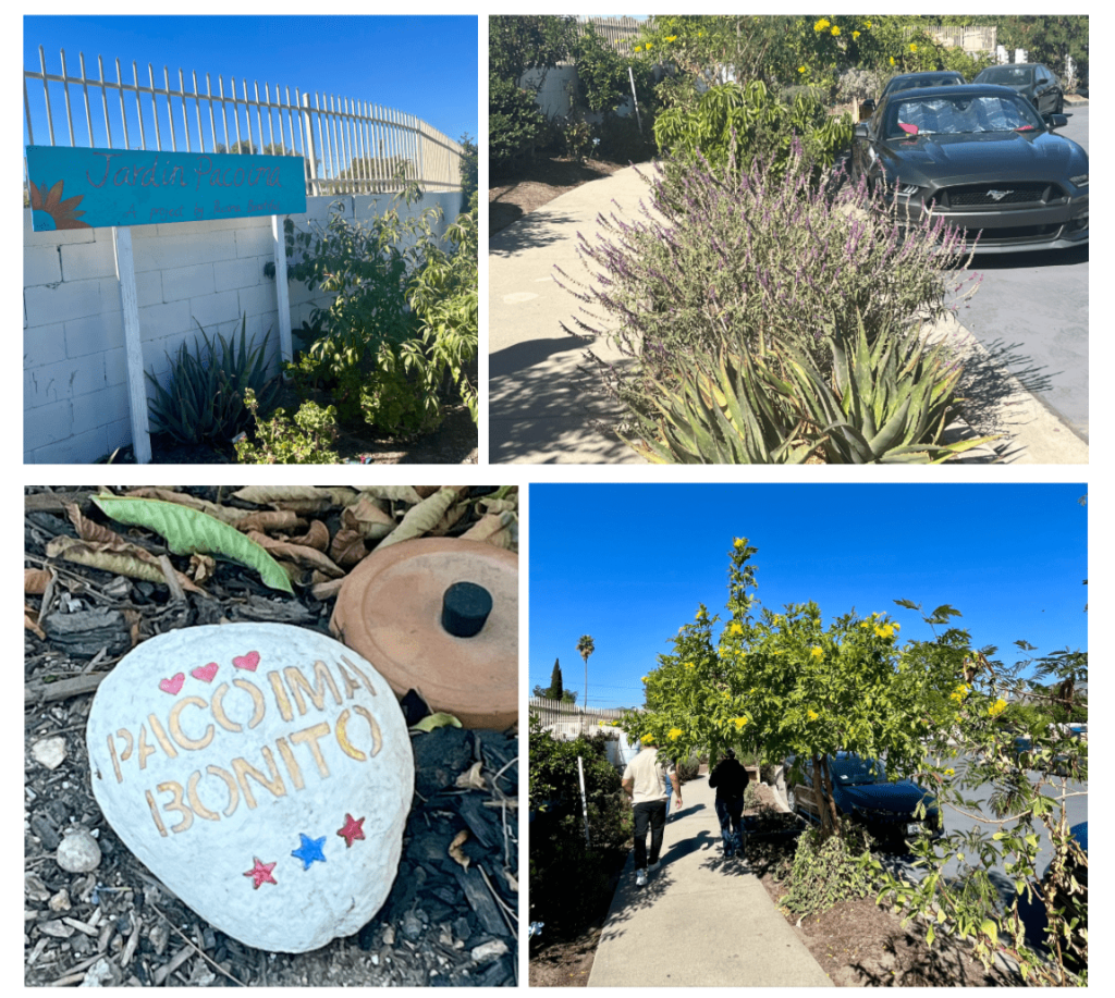 Pacoima Beautiful: Empowering Environmental Justice in a Vibrant ...